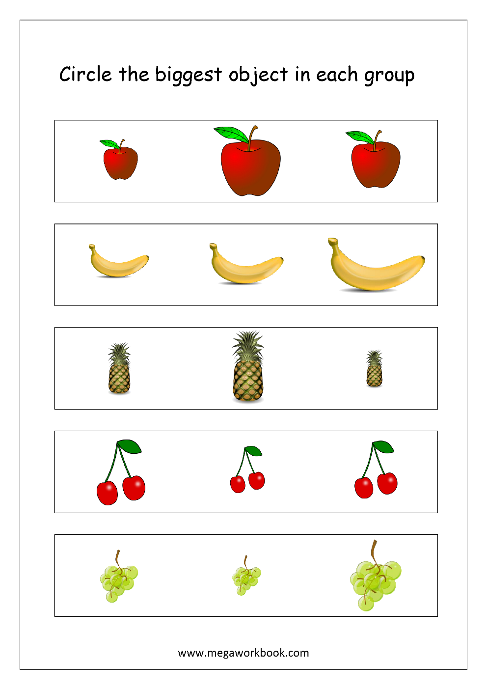 Compare Sizes Of Anything