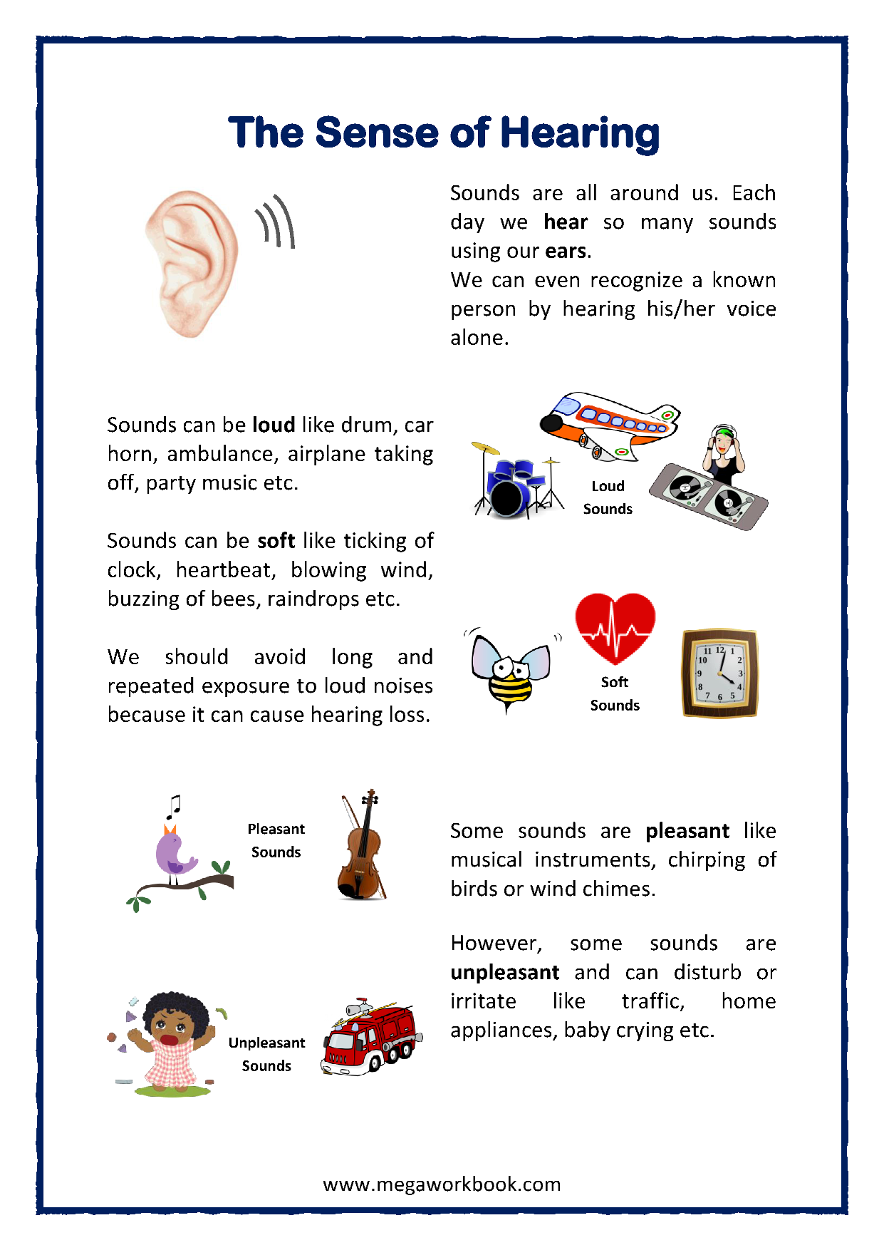 Five Senses Worksheets For Preschool And Kindergarten - MegaWorkbook