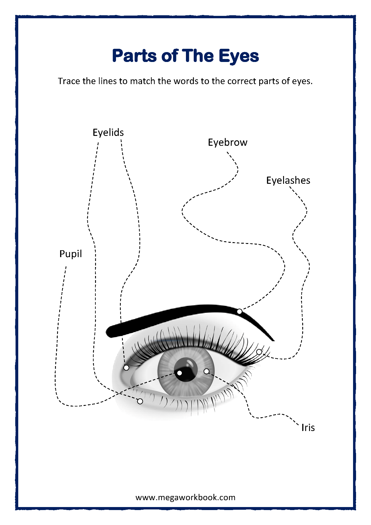 Five Senses Worksheets For Preschool And Kindergarten - MegaWorkbook