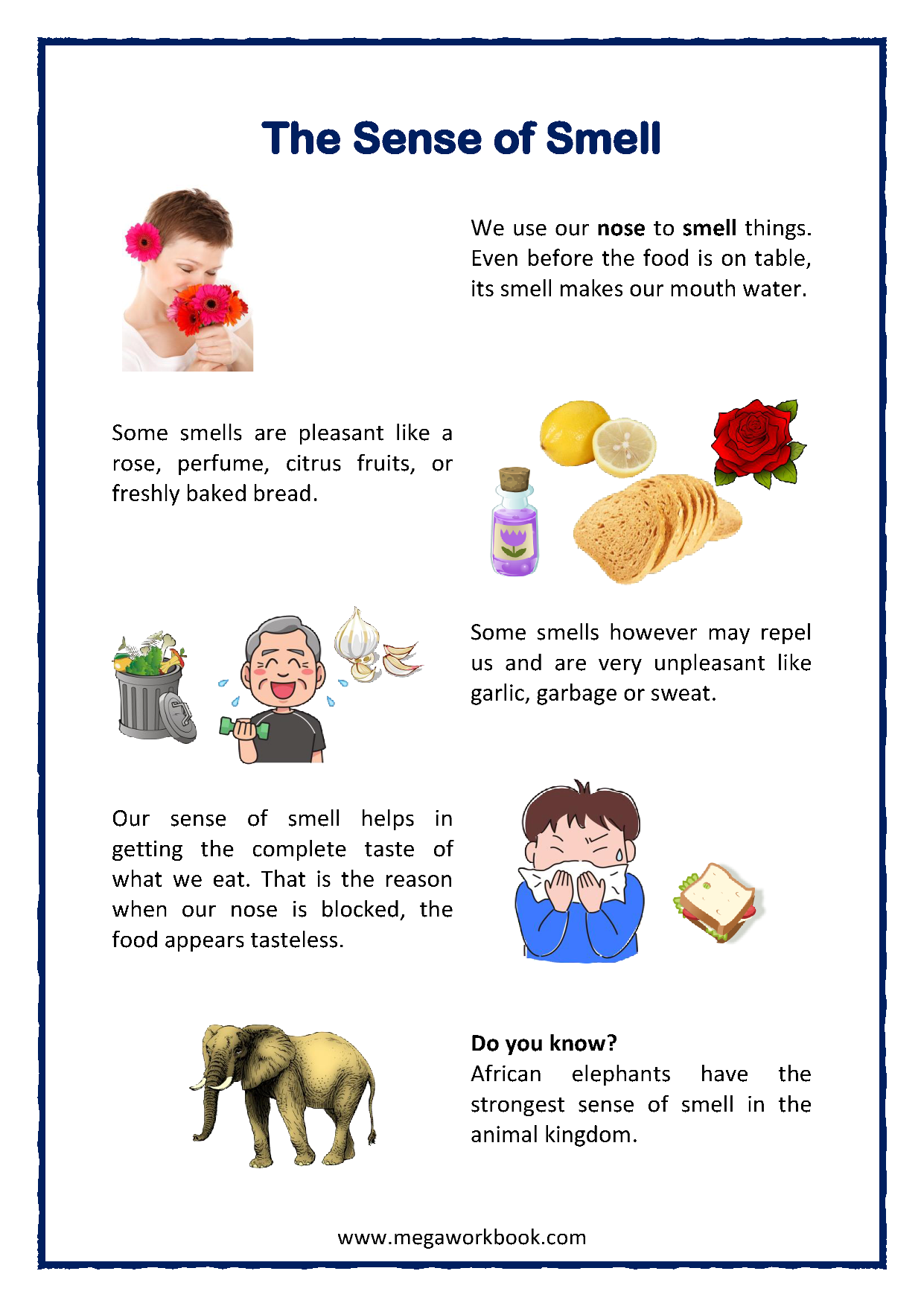 Five Senses Worksheets For Preschool And Kindergarten - MegaWorkbook