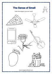 Five Senses Worksheets For Preschool And Kindergarten - MegaWorkbook