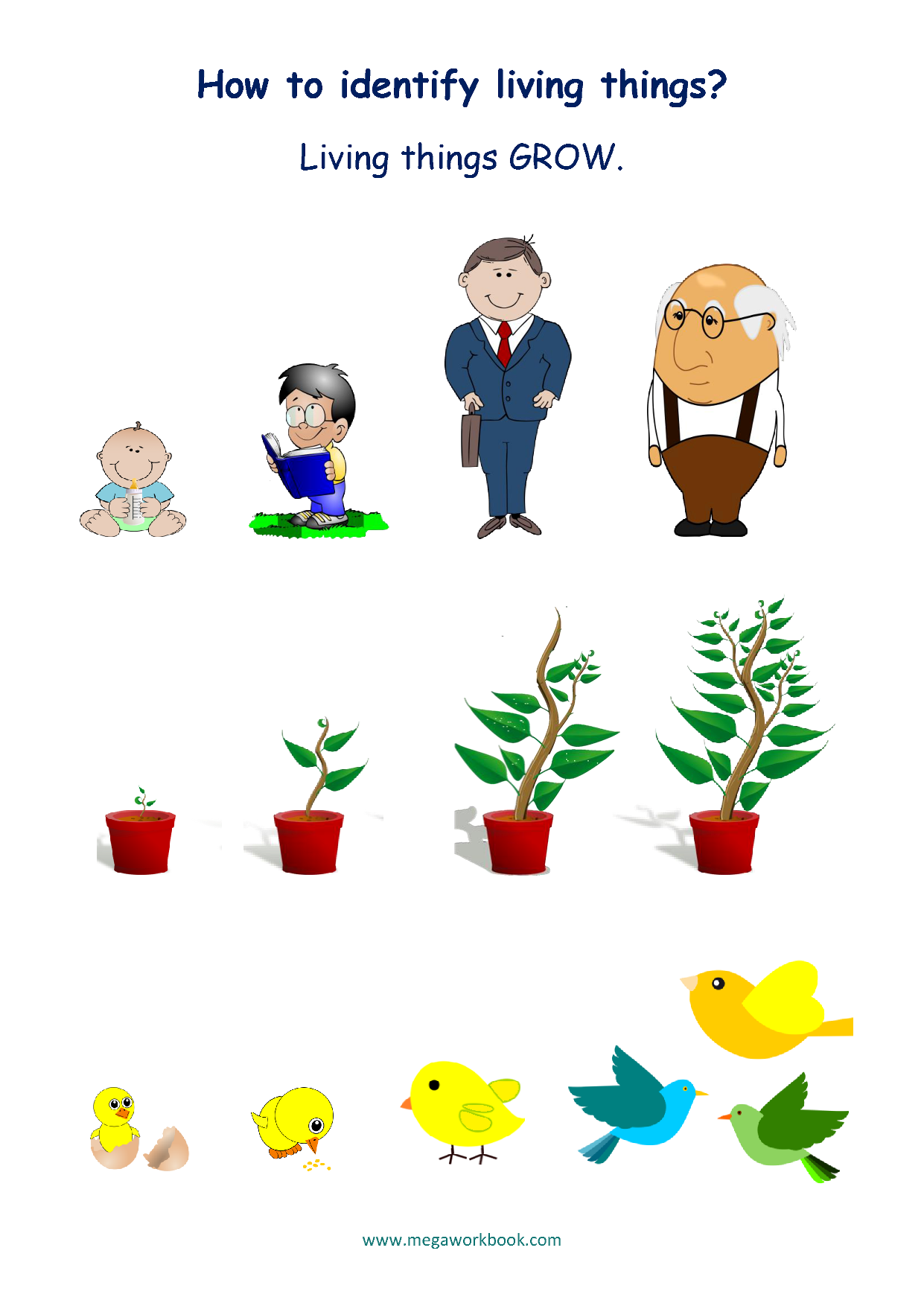 Characteristics Of Living And Non Living Things Worksheet Free Characteristics Of Living And Non Living Things Worksheet Free