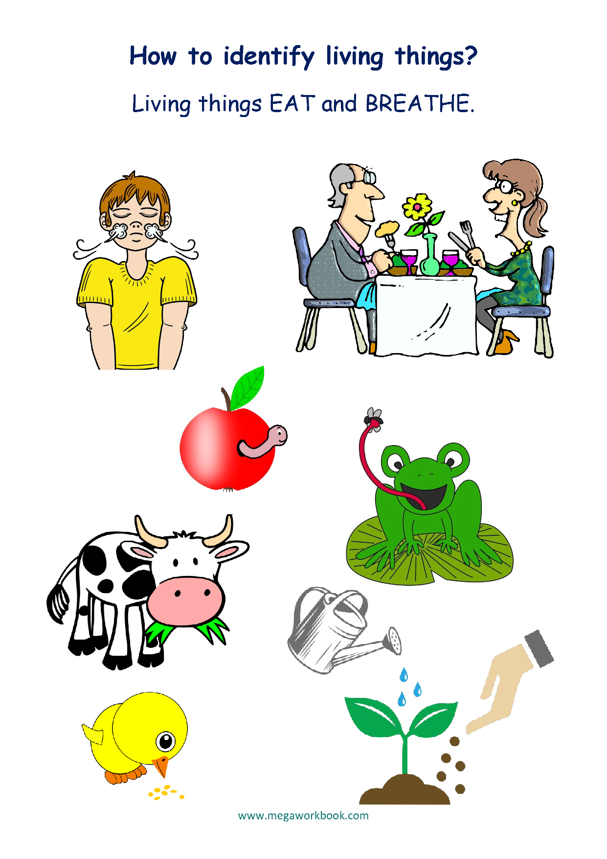 Living And Non Living Things Worksheets Characteristics Of Living Living And Non Living Things Worksheets Characteristics Of Living