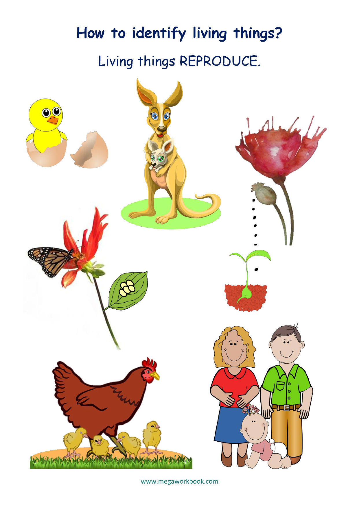Living And Non Living Things Worksheets Characteristics Of Living