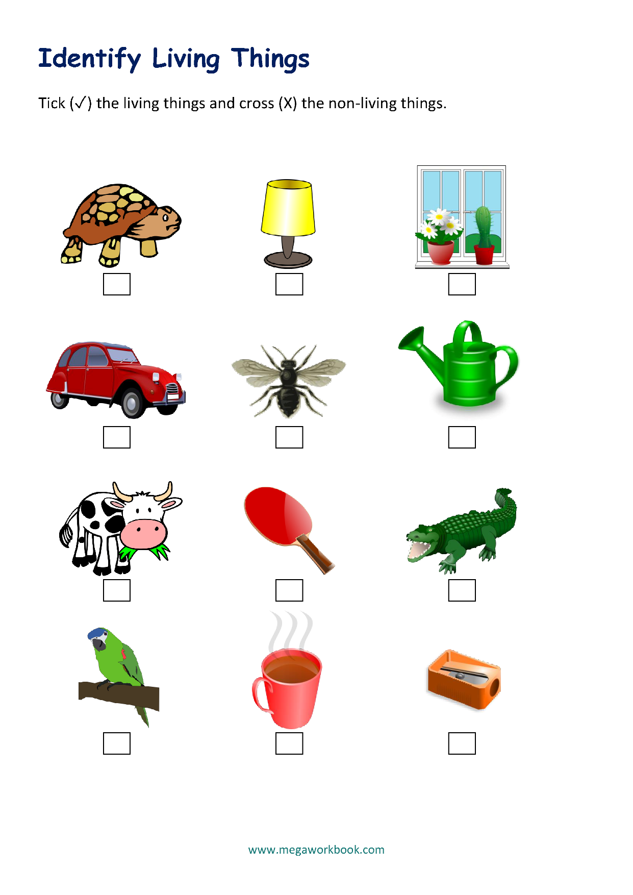 Living And Non Living Things Worksheets Characteristics Of Living